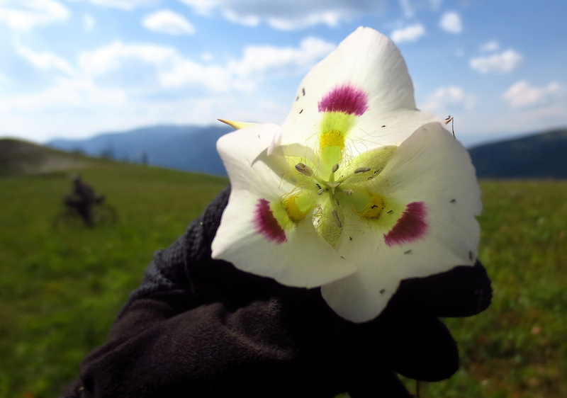 The Longest Singletrack Tour Ever - Continental Divide Trail - Pinkbike