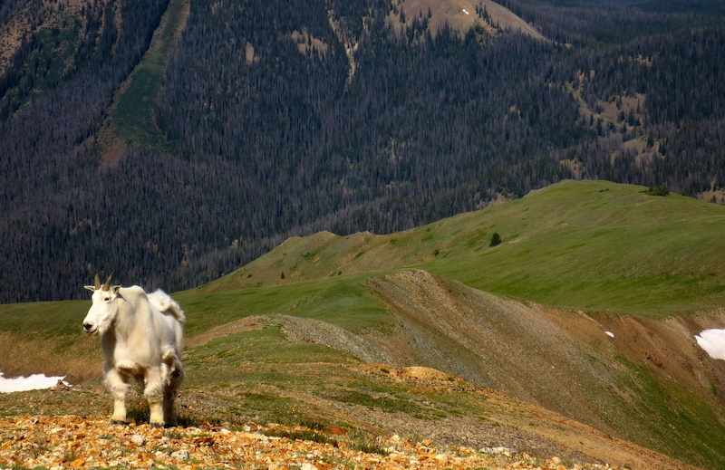 The Longest Singletrack Tour Ever - Continental Divide Trail - Pinkbike