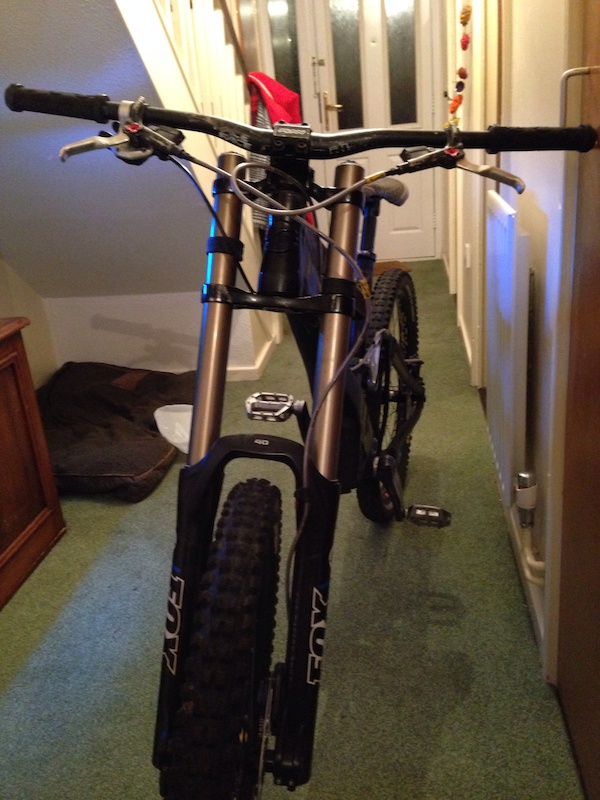 Giant glory fox 40s For Sale