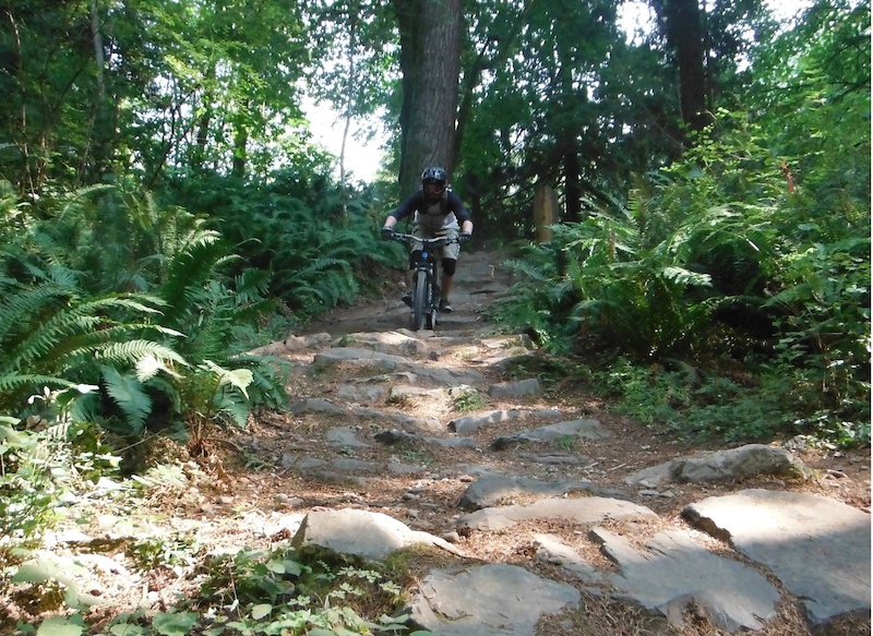 Braveheart Mountain Biking Trail - Issaquah, Washington