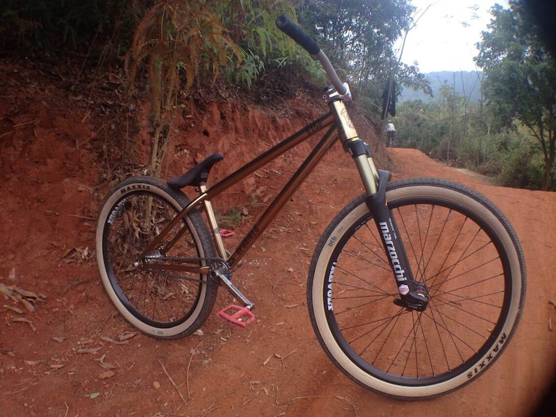 DPS-BIKES VICI Frame - Pinkbike Forum