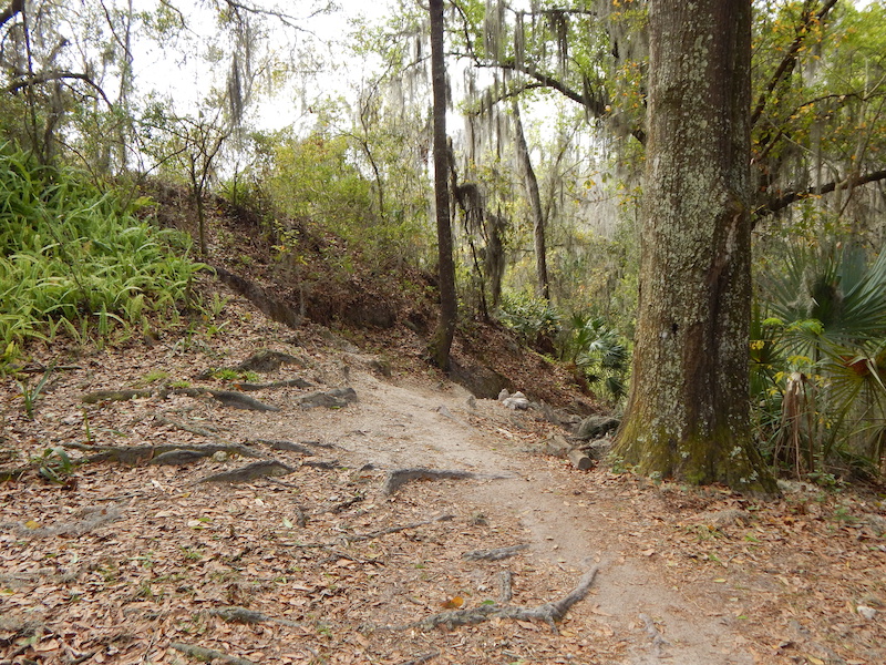Lost Meadow Mountain Biking Trail - Lithia, Florida