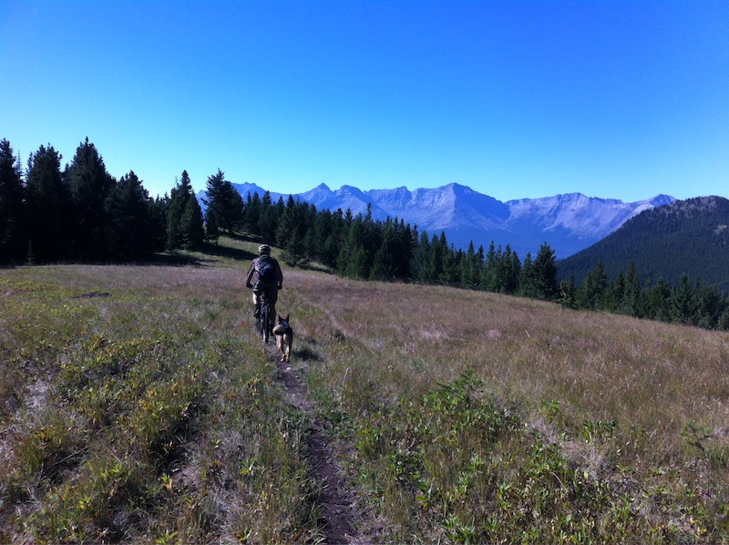 Nez Perce Ridge Multi Trail - Coleman, Alberta