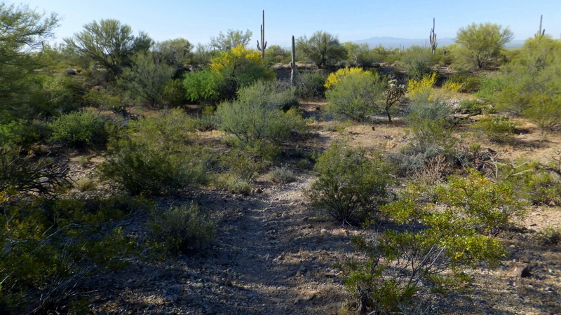 Caliche Flats Multi Trail - Tucson, Arizona | Trailforks