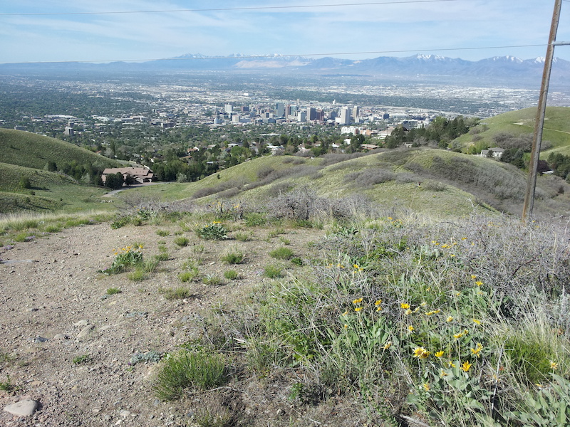 BST (Terrace Hills) Multi Trail - Salt Lake City, Utah