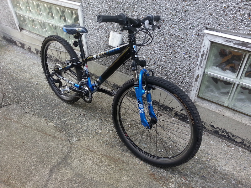 2010 Trek MT 220 Kids MTB Medium For Sale