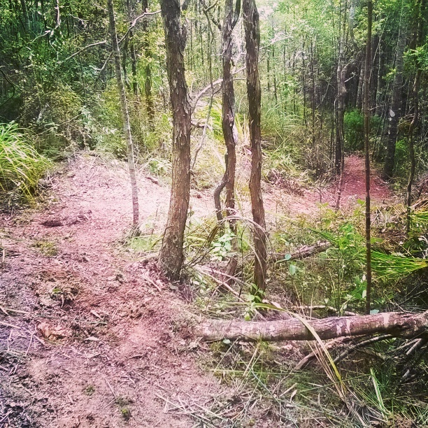 Three Blind Mice Mountain Biking Trail - Cambridge