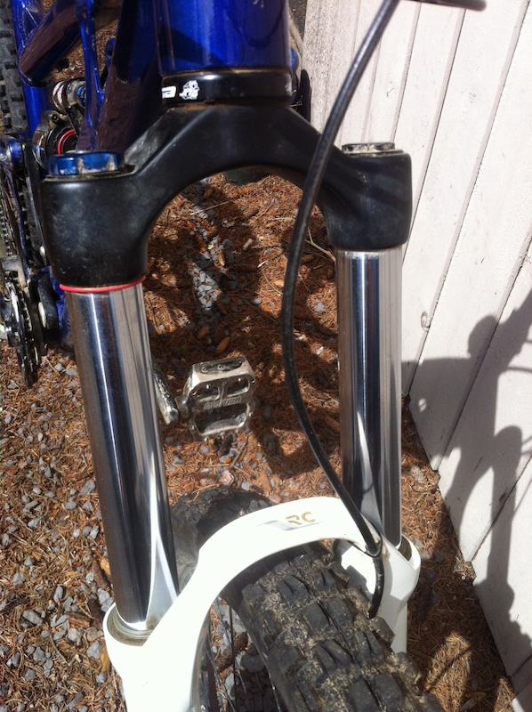 2012 Cove STD Medium For Sale