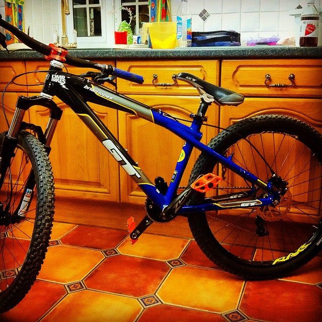 GT Brian Lopes limited Edition custom build For Sale