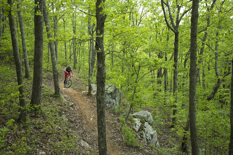 Video: Coldwater Mountain Alabama - Pinkbike