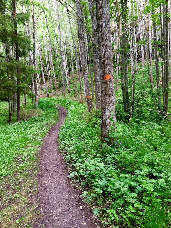 Skriket-Brunkulla-Jursla Mountain Biking Route | Trailforks