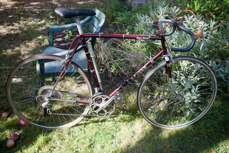 vintage 1981 Apollo Gran Sport - mint! For Sale