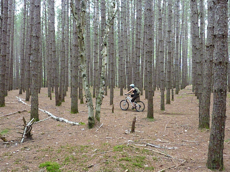 Deer Mountain Easy Rider Mountain Biking Route | Trailforks