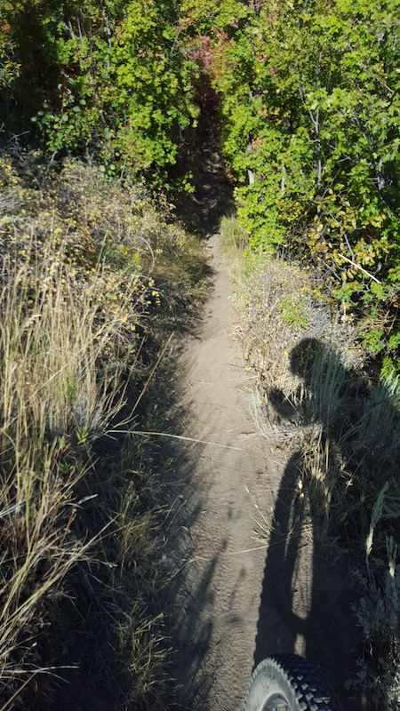 Switchback Multi Trail - City Creek, Pocatello, Idaho