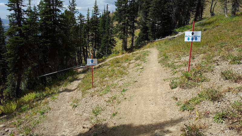 Buffalo Drop Mountain Biking Trail - Alta, Wyoming