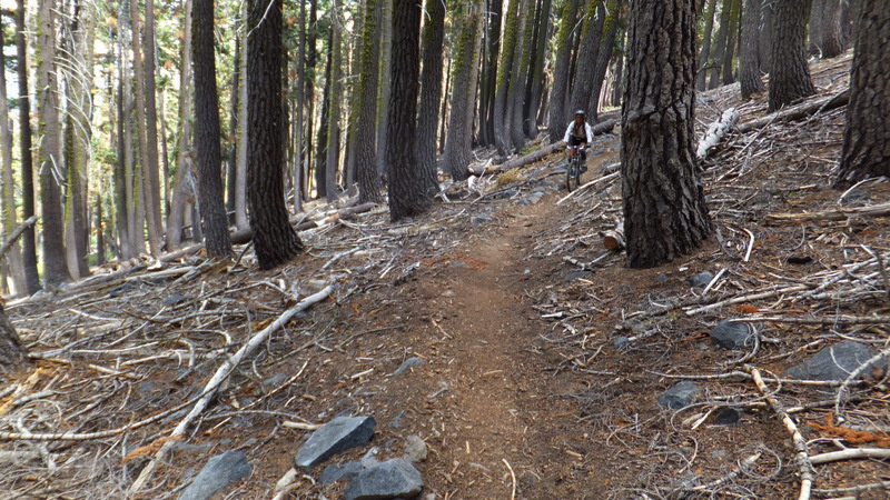 Summit Trail (North) Mountain Biking Trail - Kernville