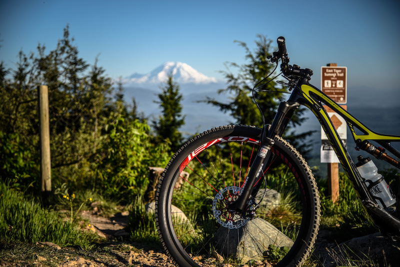 2015 Specialized Camber Evo Expert Carbon - Medium For Sale