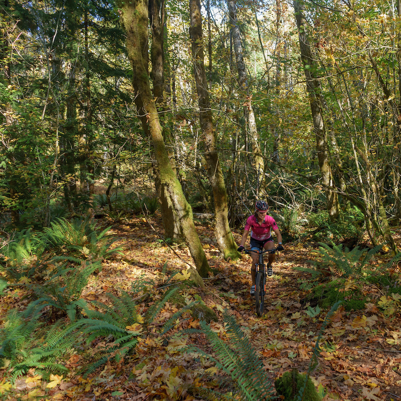 Lost Loop Mountain Biking Trail - Squamish, BC
