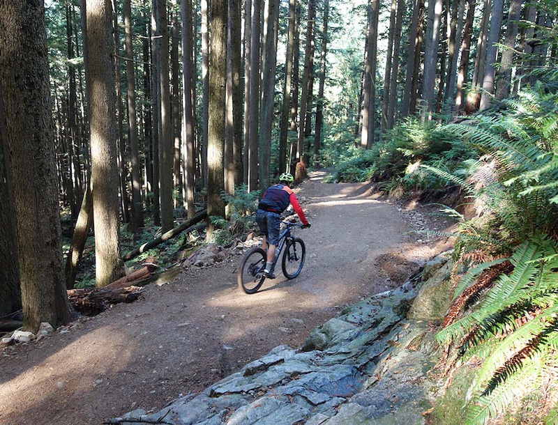 Mushroom Trail Multi Trail - North Vancouver, BC