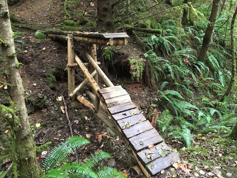 Pinnacle Rock State Park Mountain Biking Trails | Trailforks