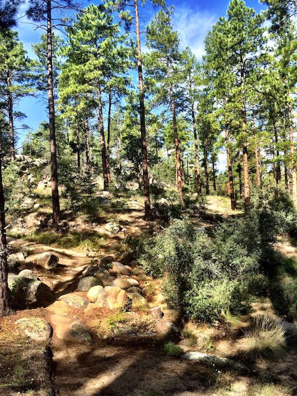 8 mi Thumb Butte Loop Mountain Biking Route | Trailforks