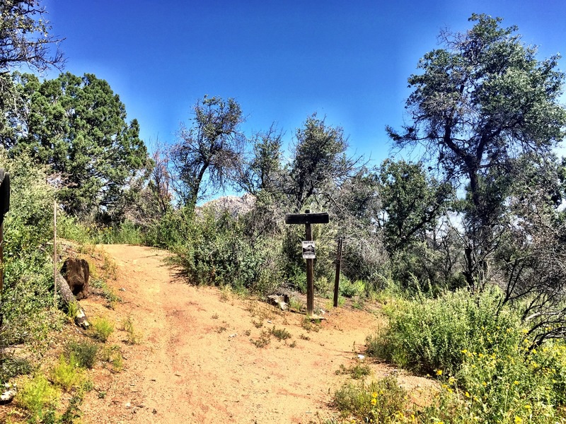 350 - Surprise Springs Multi Trail - Prescott, Arizona