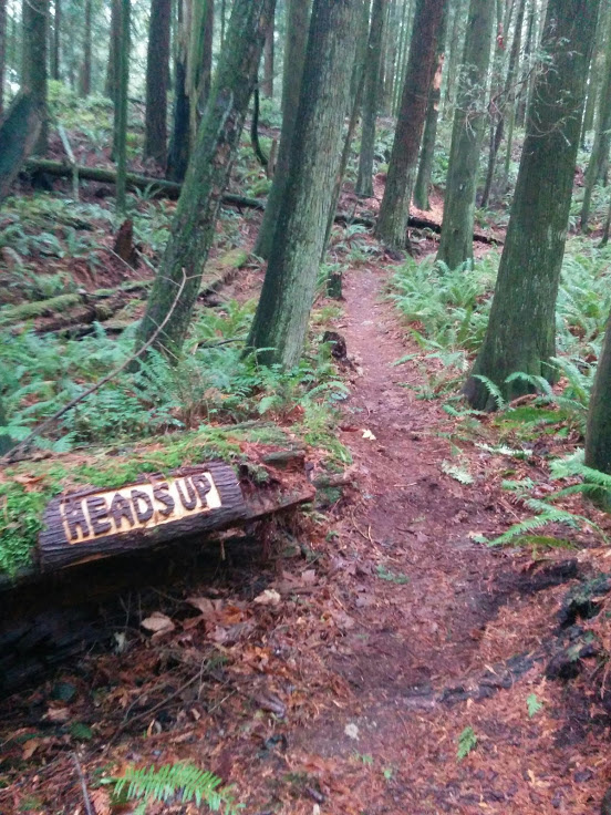 Heads Up Mountain Biking Trail - Maple Ridge, BC