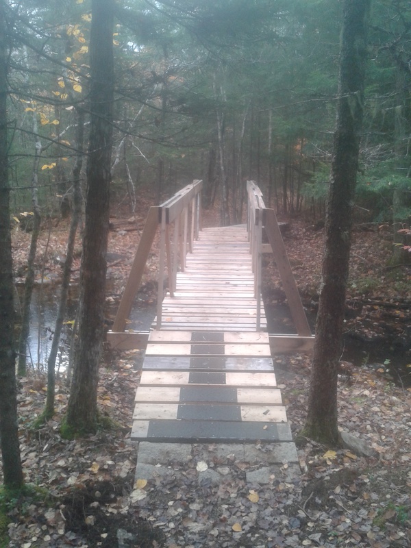 at Grant Rd. Trails in Enfield, Nova Scotia, Canada - photo by ...