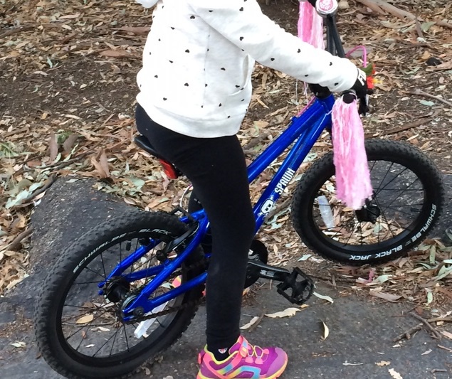 2014 Spawn Banshee 16" Blue For Sale