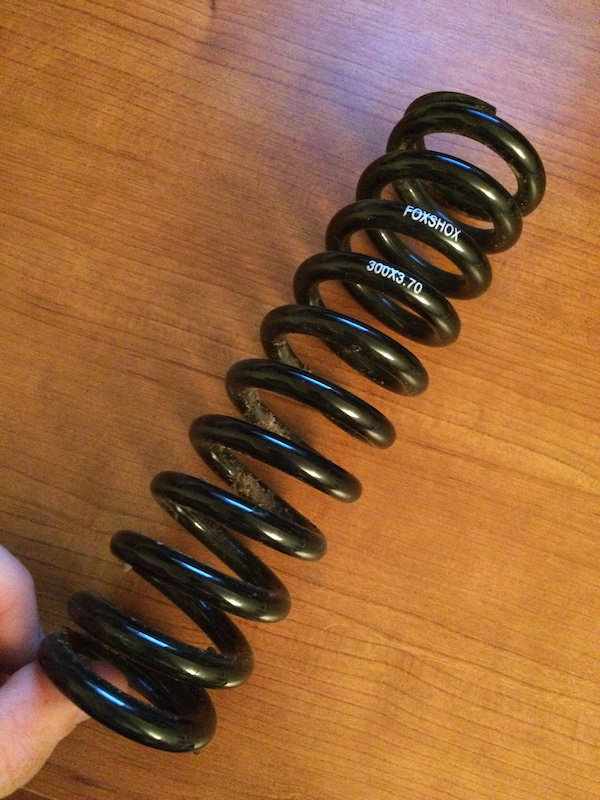 300 pound Fox spring For Sale