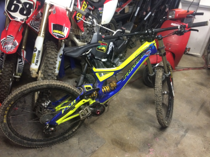 2014 Demo 8 Medium For Sale