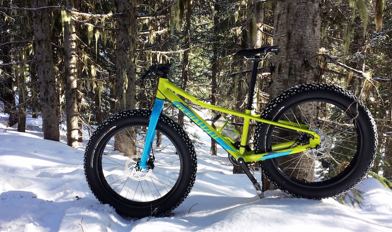 2015 Fatboy 24 with upgrades for sale For Sale