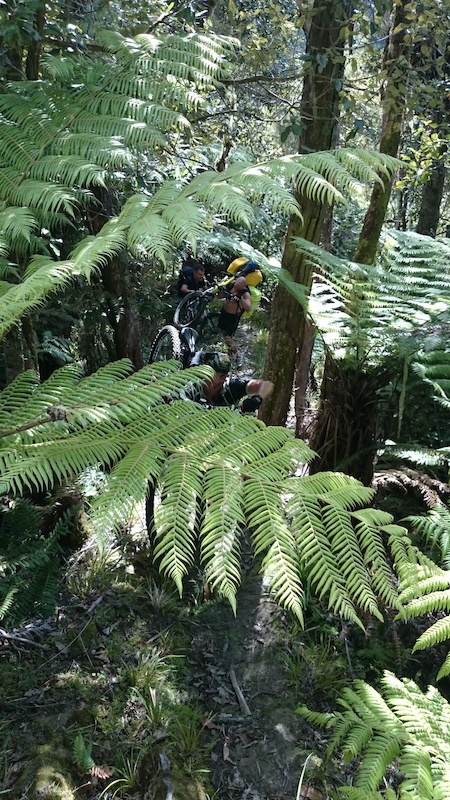 Matemateāonga Track Multi Trail - | Trailforks