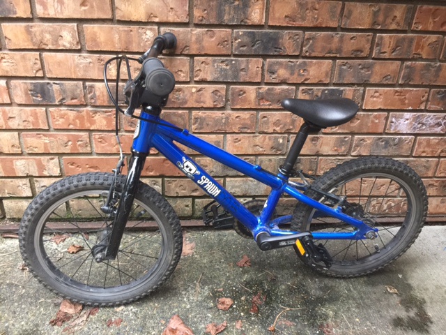 2014 Spawn Banshee For Sale