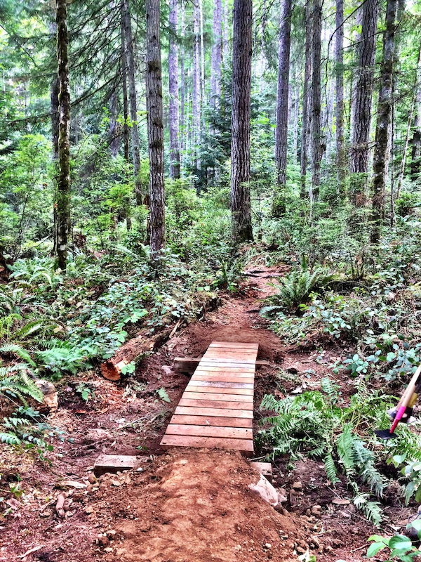 Stringer Mountain Biking Trail - Nanaimo, BC