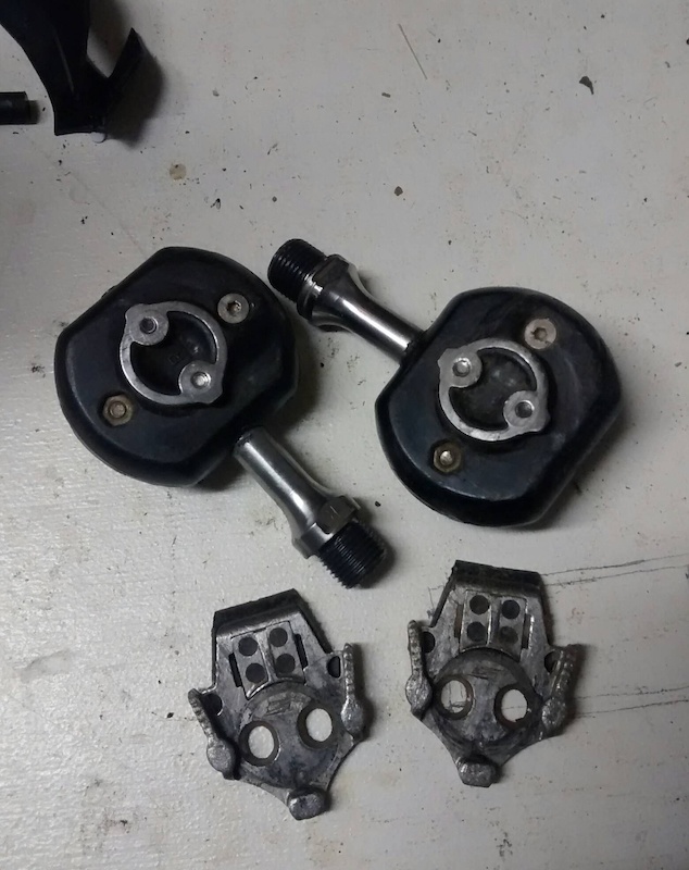 2011 Speedplay Frog (stainless) For Sale