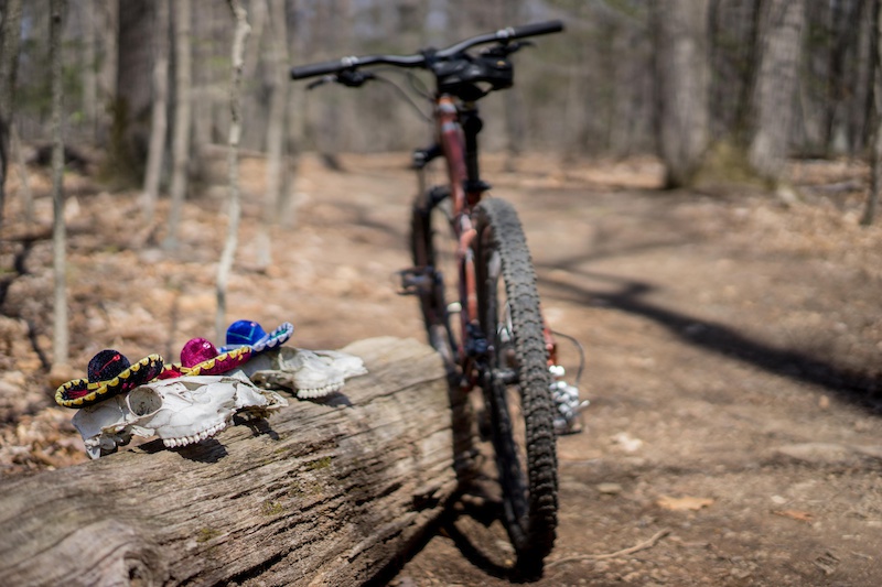 Seneca Ridge Trail Multi Trail - Gaithersburg, Maryland