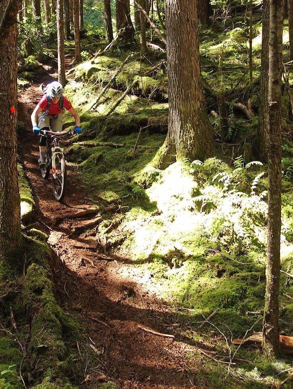 Appleton Canyon Hiking Trail - Powell River, BC