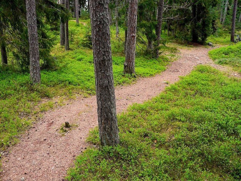 Sweden Mountain Biking Trails | Trailforks