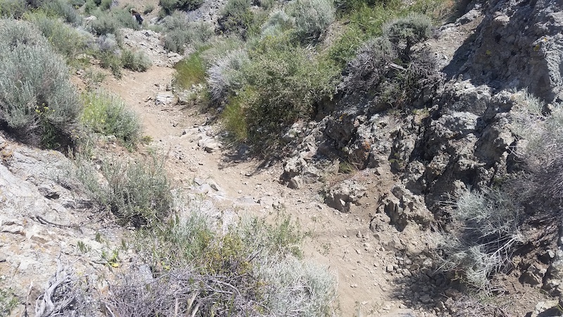 Snake Run Mountain Biking Trail - Reno, Nevada