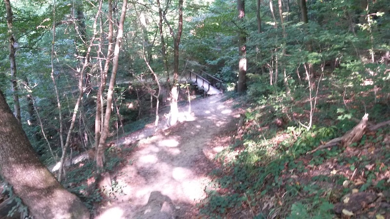 Singlač pri ceste Mountain Biking Trail - Bratislava