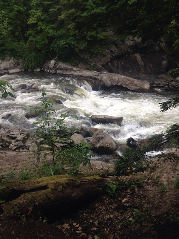 Presumpscot River Multi Trail - Portland, Maine