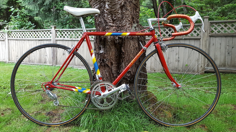 1987 Proctor Townsend Road bike Campagnolo For Sale