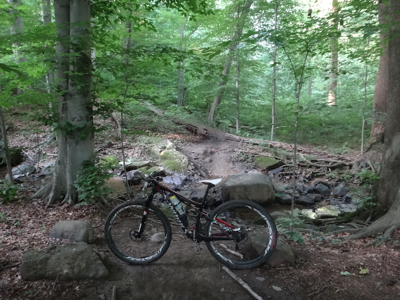 Morning Choice East Section Multi Trail - Ellicott City