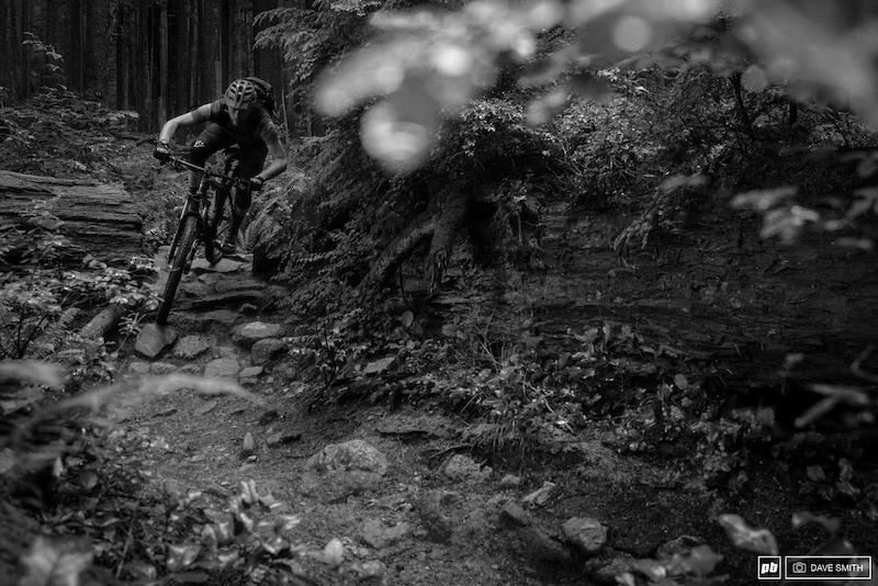 Upper Backyard Trail Mountain Biking Trail - Coquitlam