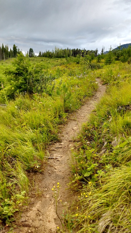 2nd Helping Mountain Biking Trail - Valemount, BC