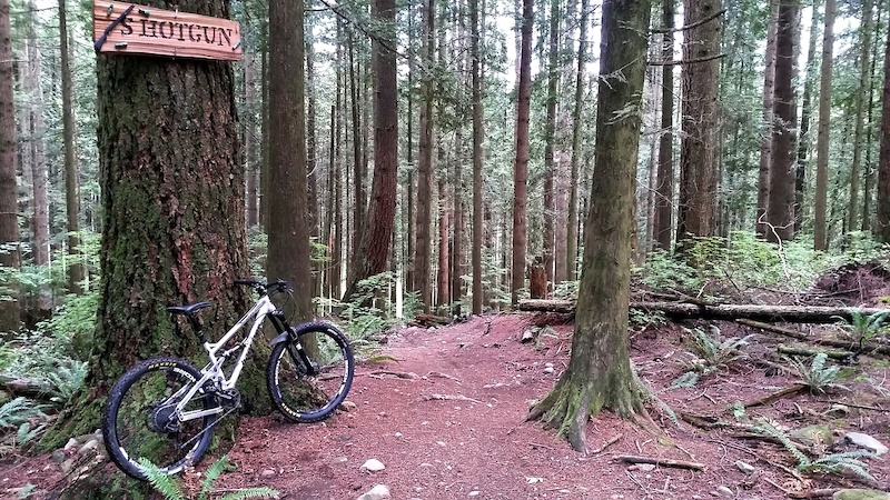 Shotgun Mountain Biking Trail - Maple Ridge, BC