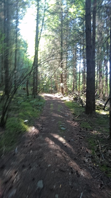 Doubletrack Mountain Biking Trail - Parksville, BC
