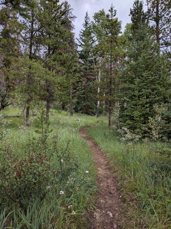 Trail 2j Multi Trail - Pyramid Bench, Jasper, Alberta