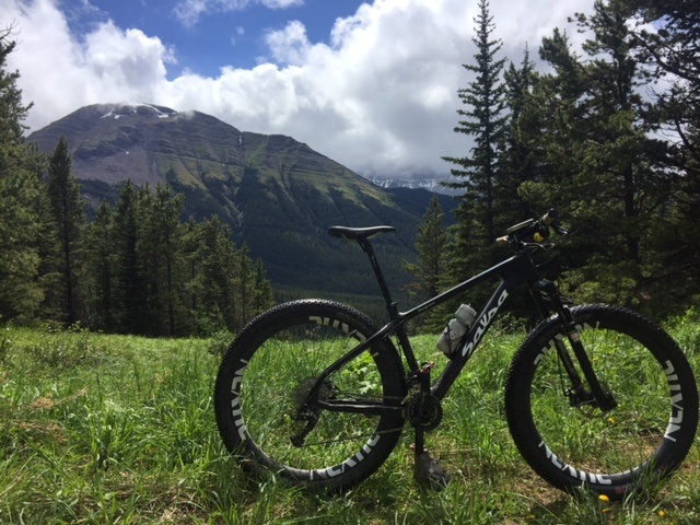2015 Carbon Salsa Beargrease For Sale